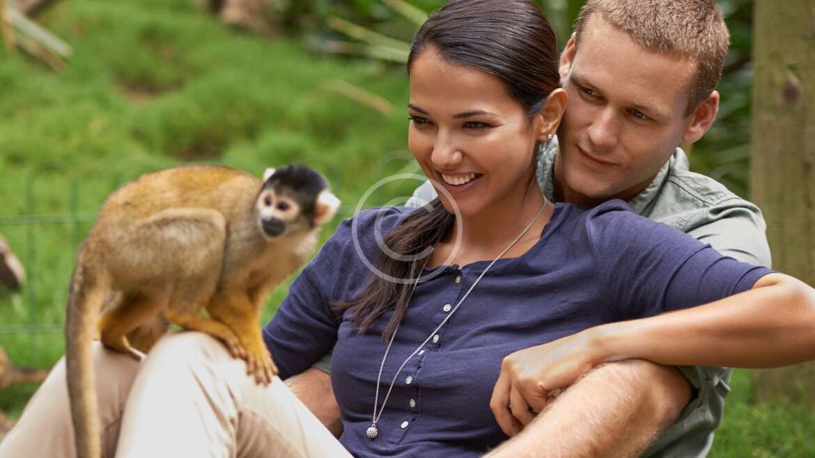 Discover the amazing animals – Parque Guateque