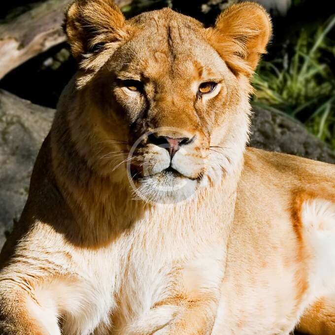Parque Guateque – ¡Sumérgete en la Diversión!