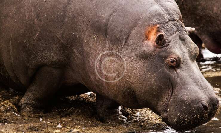 Parque Guateque – ¡Sumérgete en la Diversión!